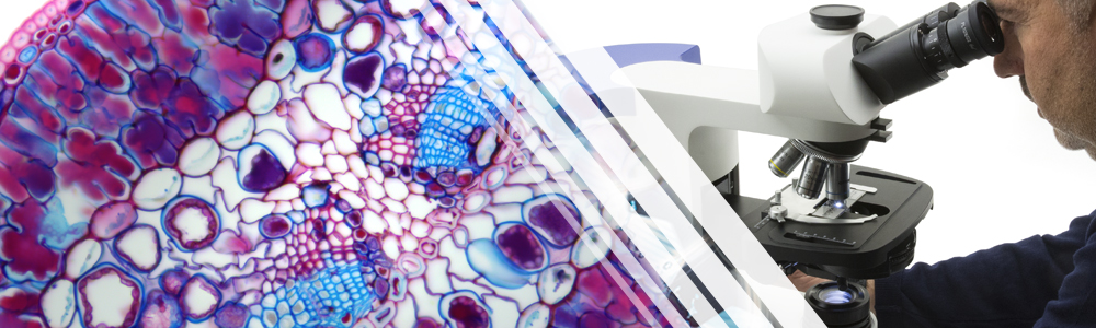 NEWS_B-810 – OPTIKASCIENCE