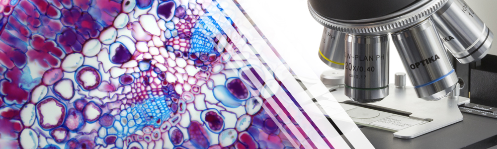 NEWS_B-810__ – OPTIKASCIENCE