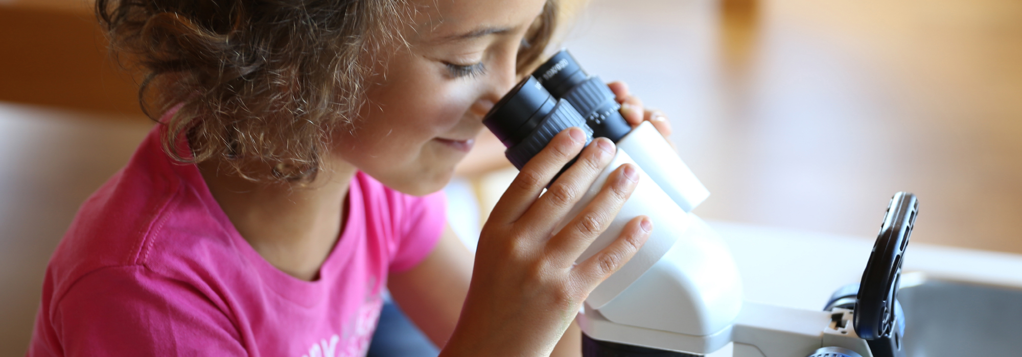 OP_EDU_FONDO – OPTIKASCIENCE