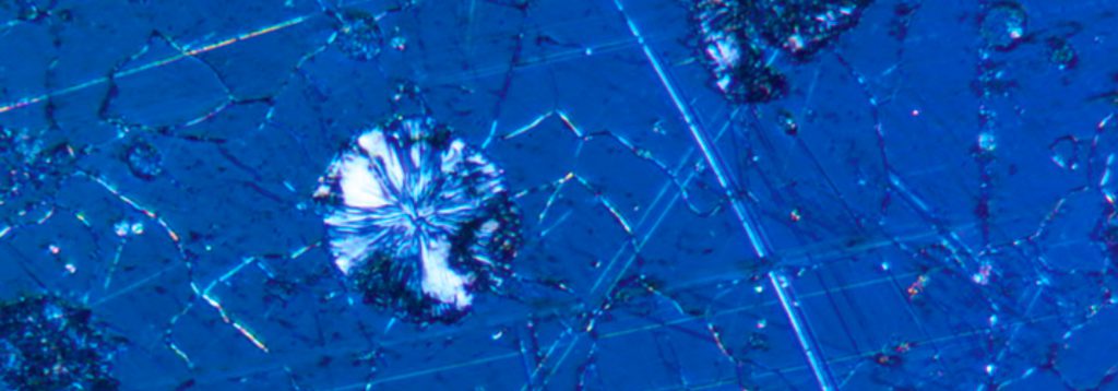 OP_INSP_IM_FONDO – OPTIKASCIENCE