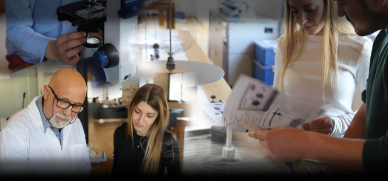 fondo-001 – OPTIKASCIENCE